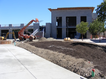 Archbishop Mitty High School | Welcome